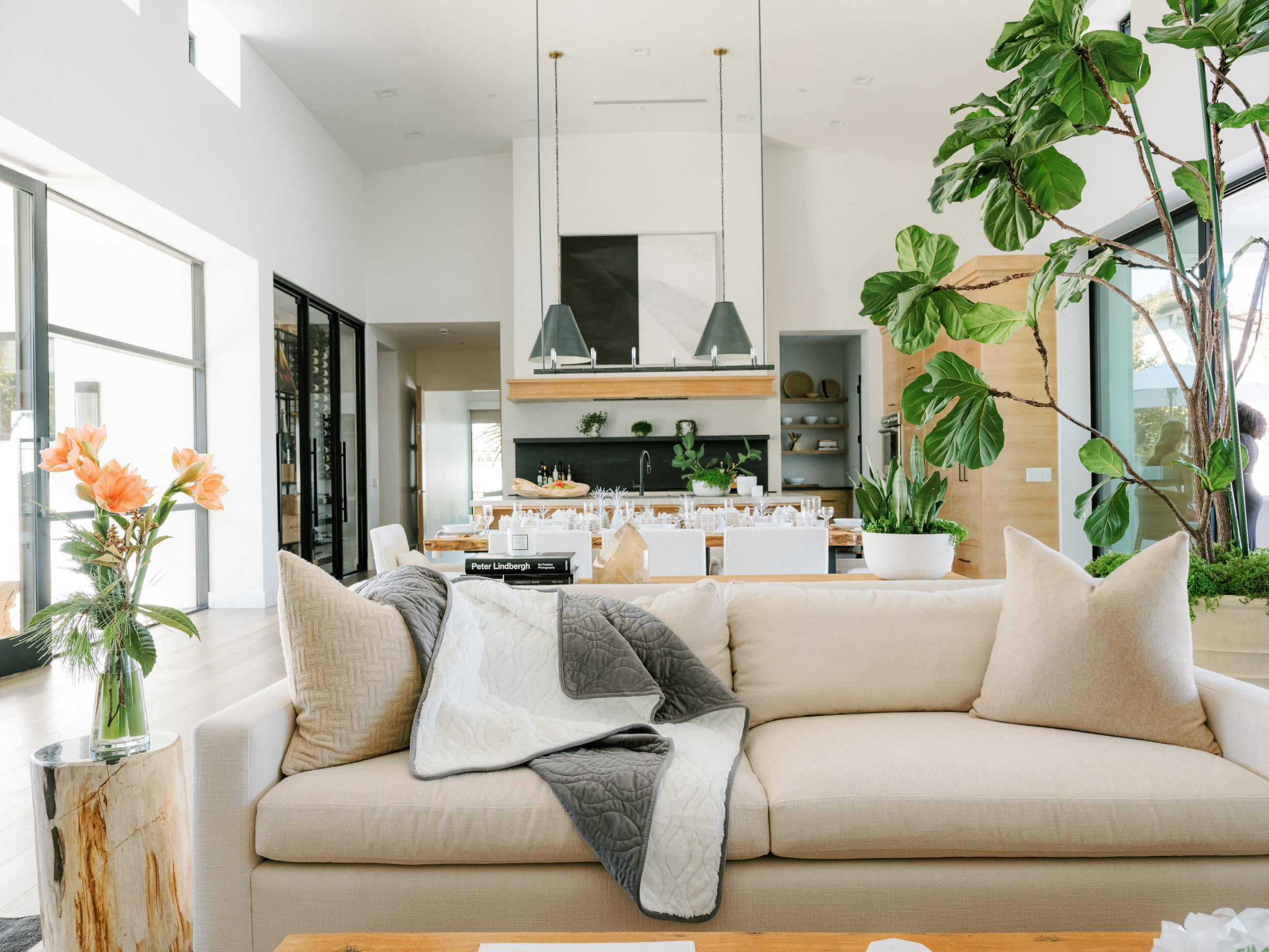 Healthy Home Environment