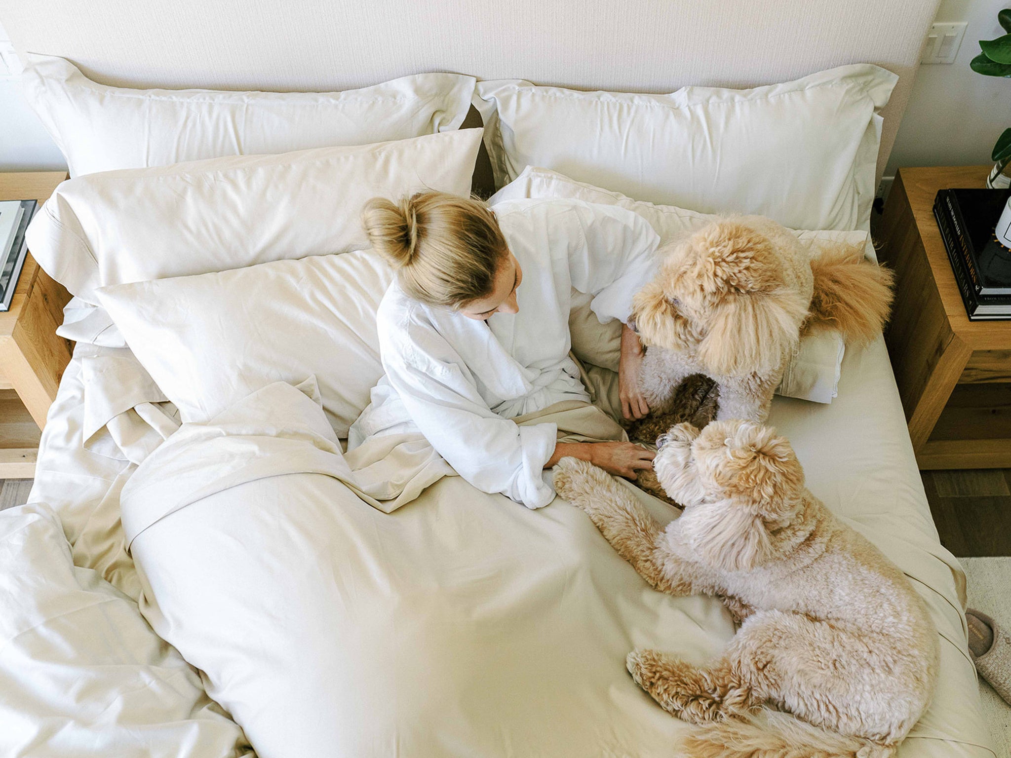 How to Have Indoor Pets AND a Clean Home – Jennifer Adams® Home